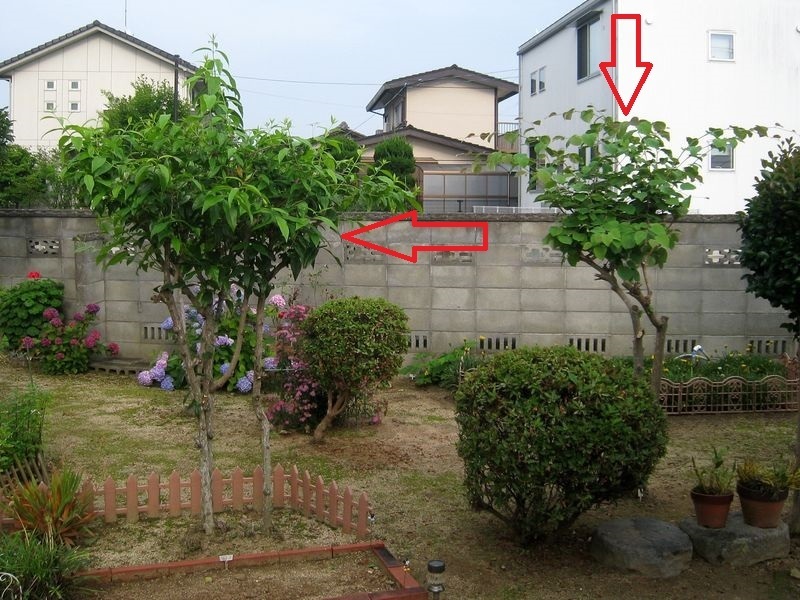 よせばいいのに？: 気ままに鉄分補給